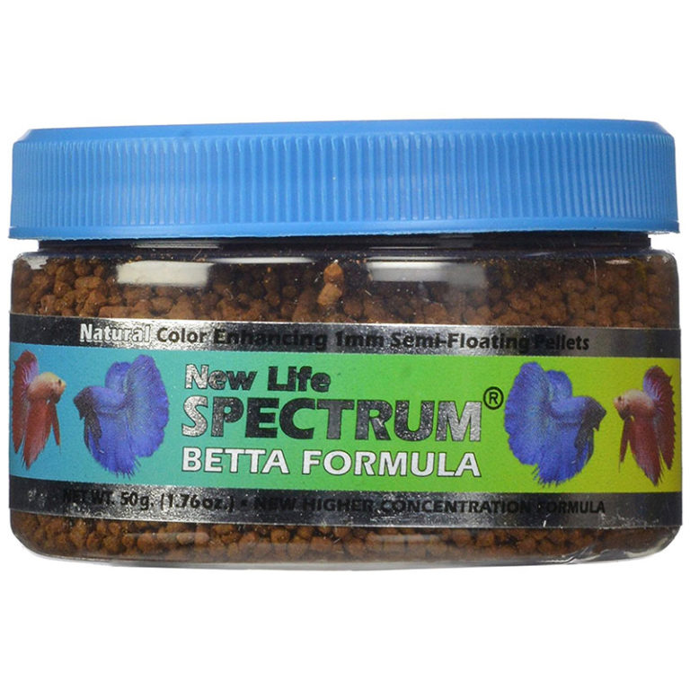 Best Betta Fish Food | What to Feed & How Much - Bettafish.org
